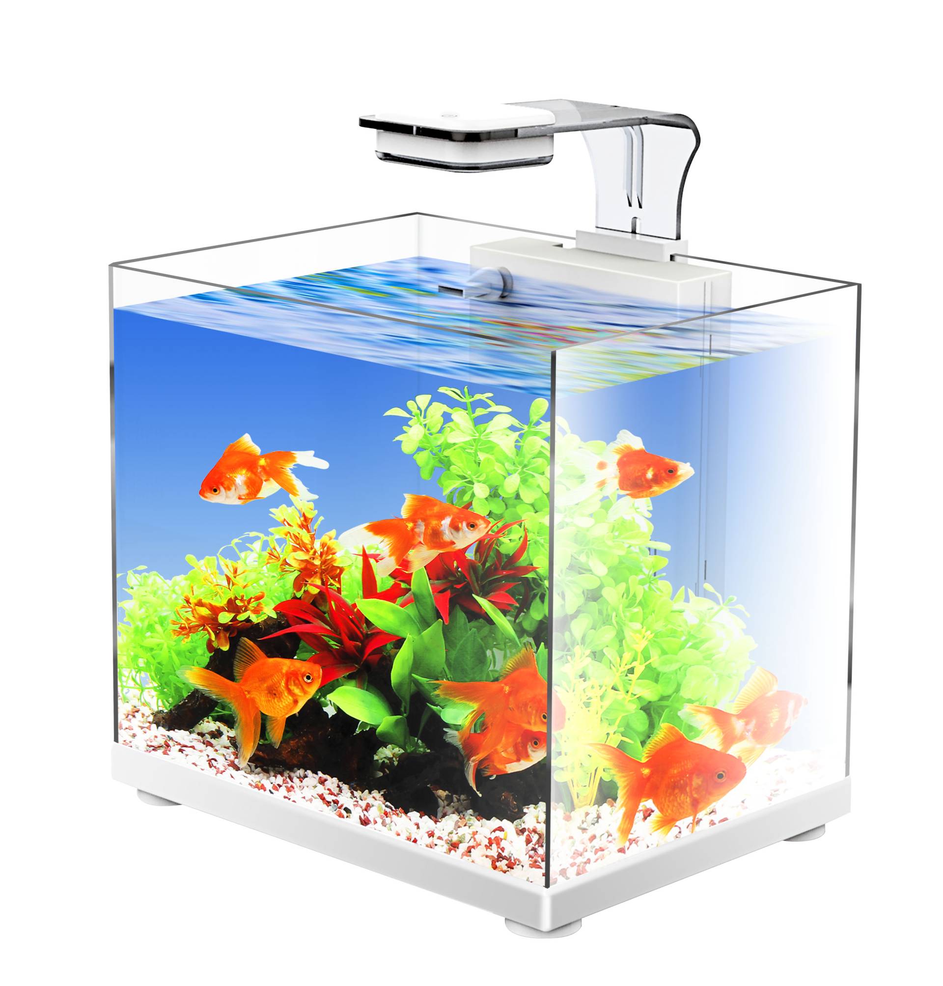 Fish tanks - Guangzhou Great East - specializes in pet & aquarium supplies