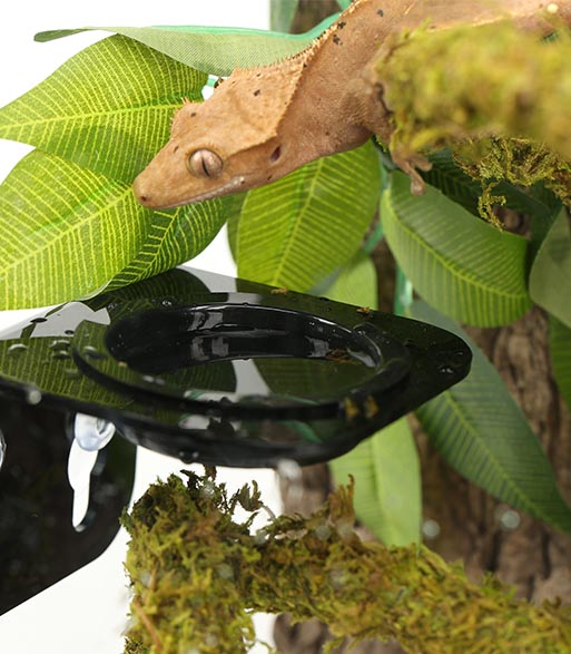 Reptile feeders - Guangzhou Great East - specializes in pet & aquarium ...